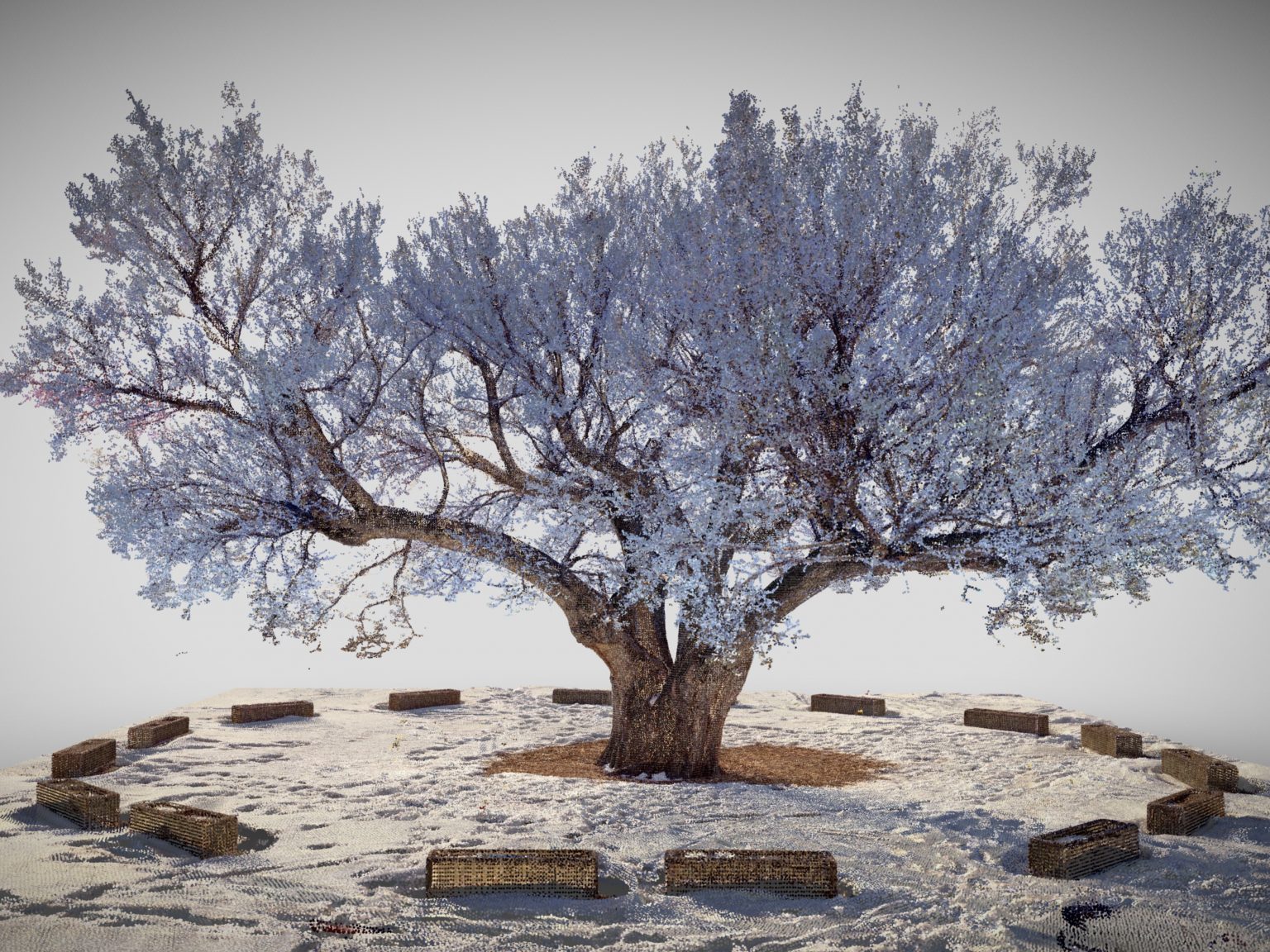 About the Archive - Digitally Preserving Alberta's Diverse Cultural ...