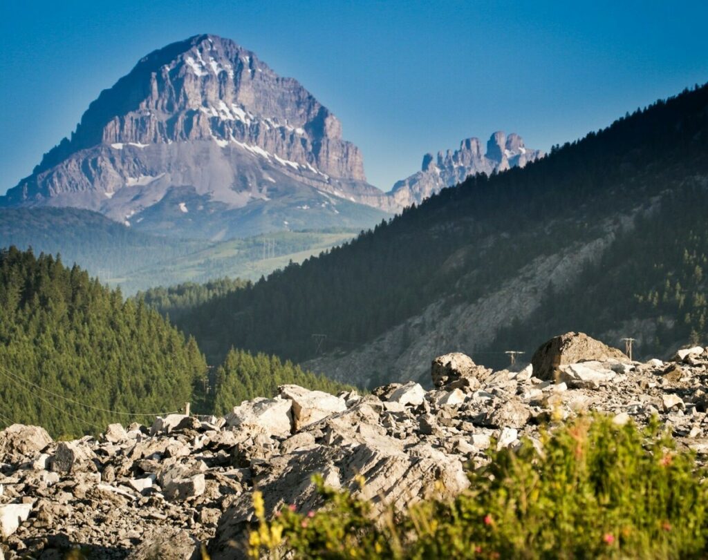 Burmis Tree - Digitally Preserving Alberta's Diverse Cultural Heritage