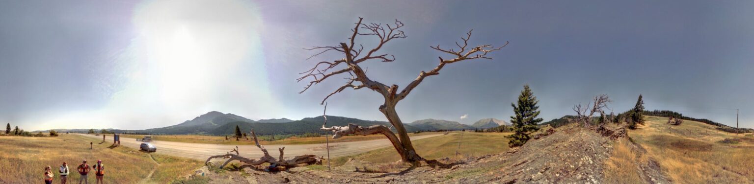 Burmis Tree - Digitally Preserving Alberta's Diverse Cultural Heritage